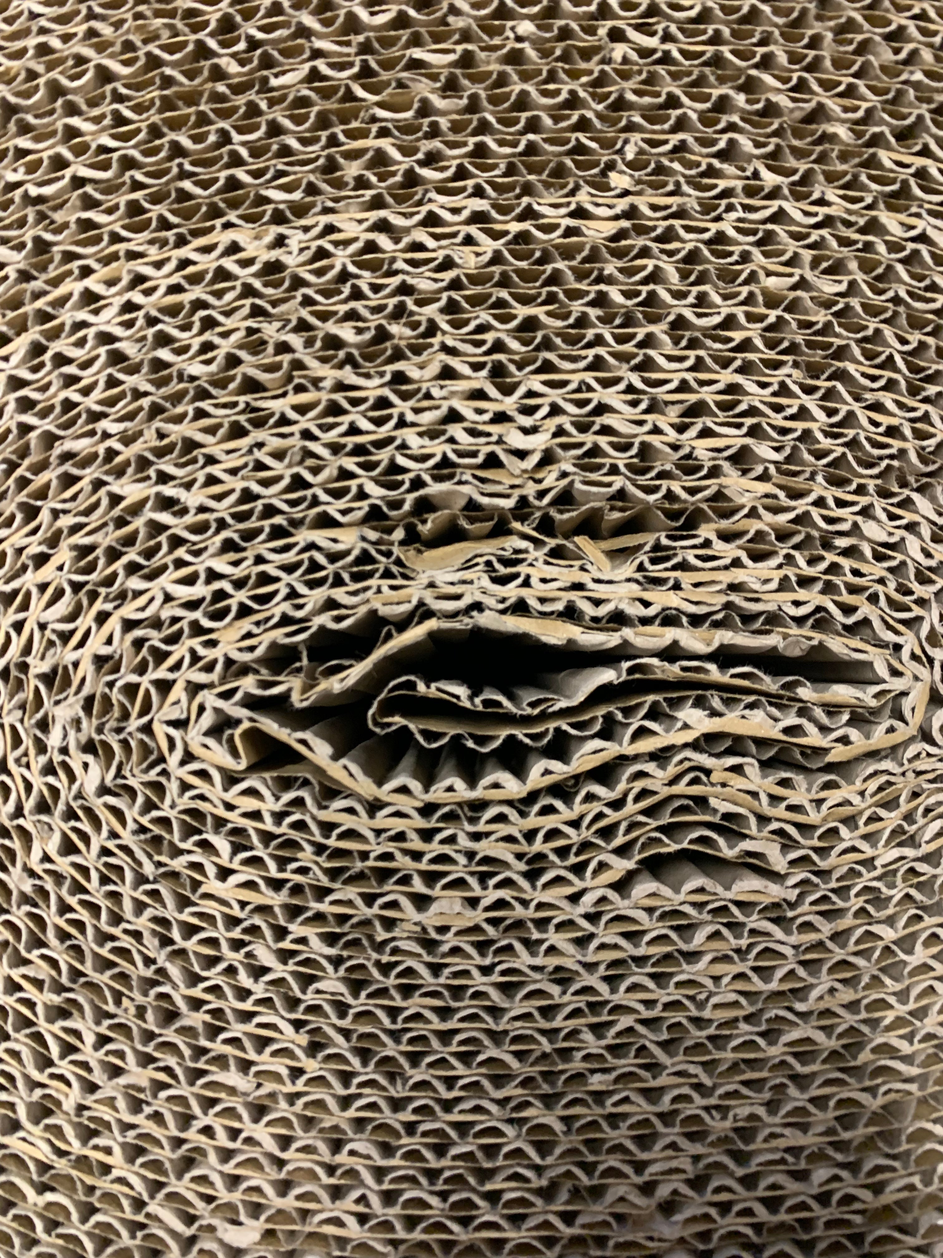 Sustainability and FSC Approved Paper Innovations